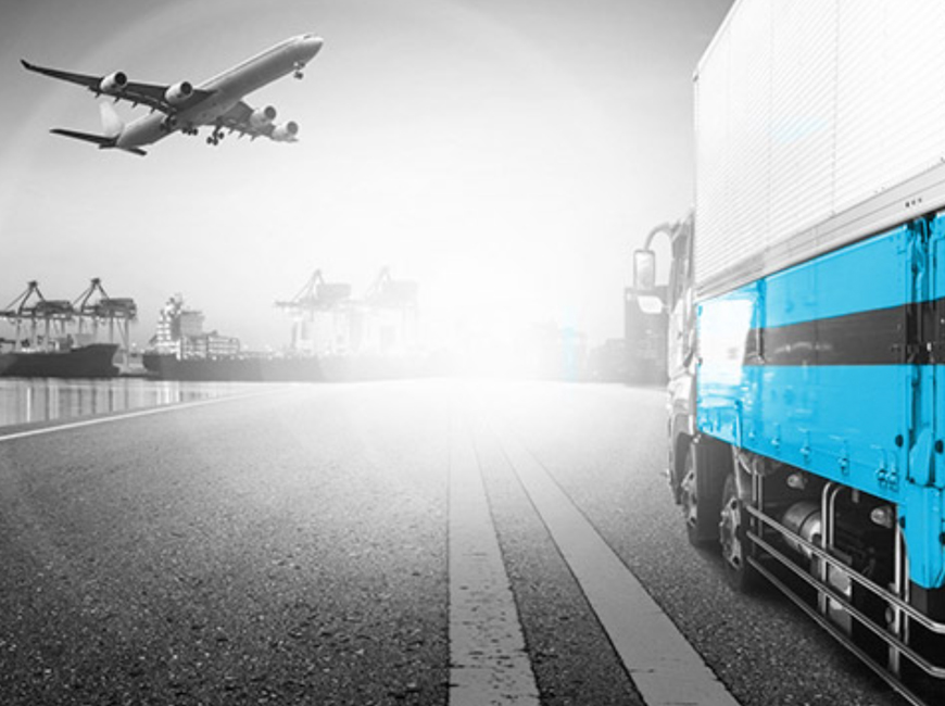 Our Services – Scanwell Logistics