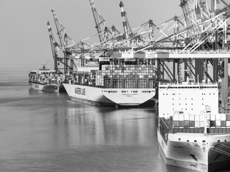 Fulfilment – Scanwell Logistics