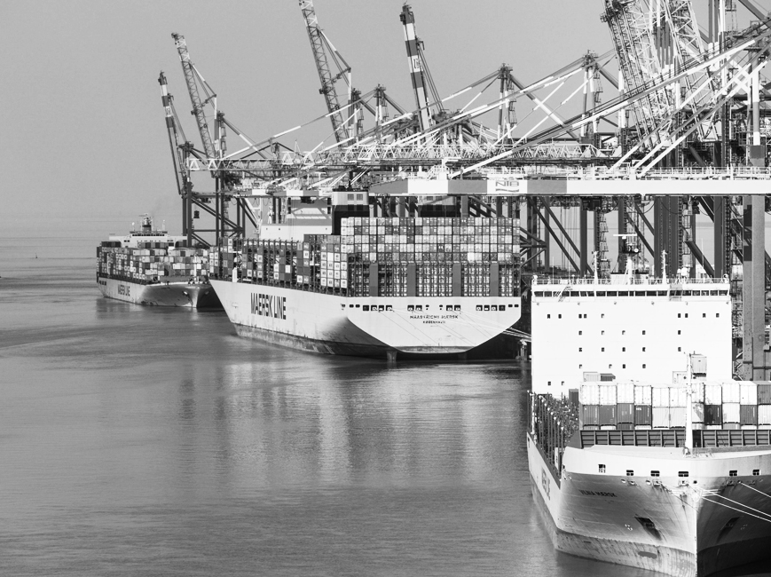 Fulfilment – Scanwell Logistics